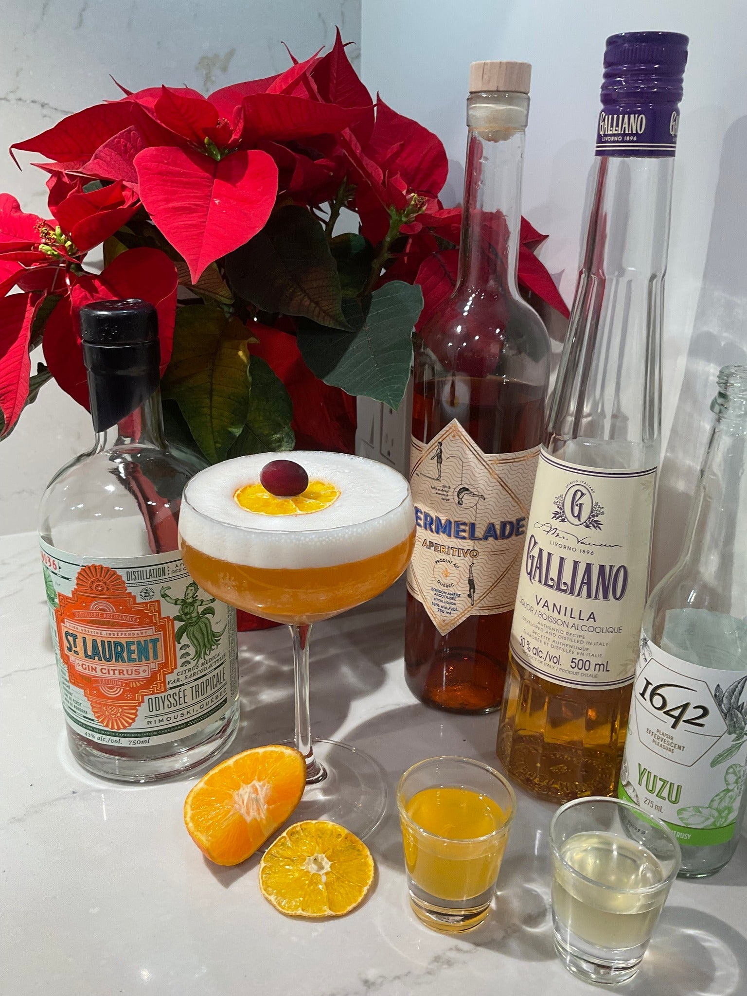 Clémentine – 1642 Tonics et Mixeurs