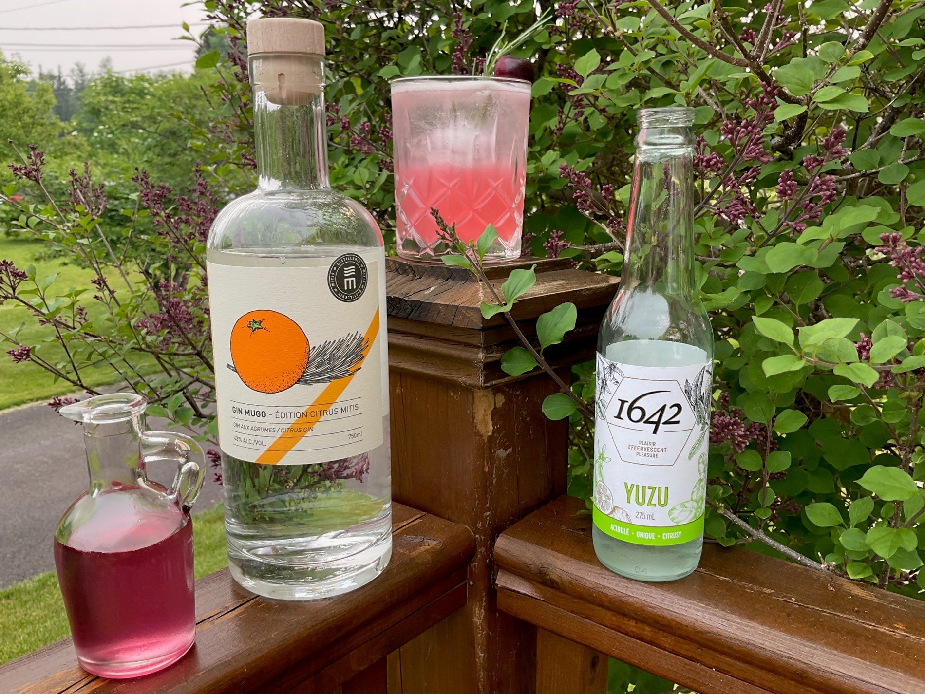 Plaisirs De Mitis - 1642 Tonics and Mixers