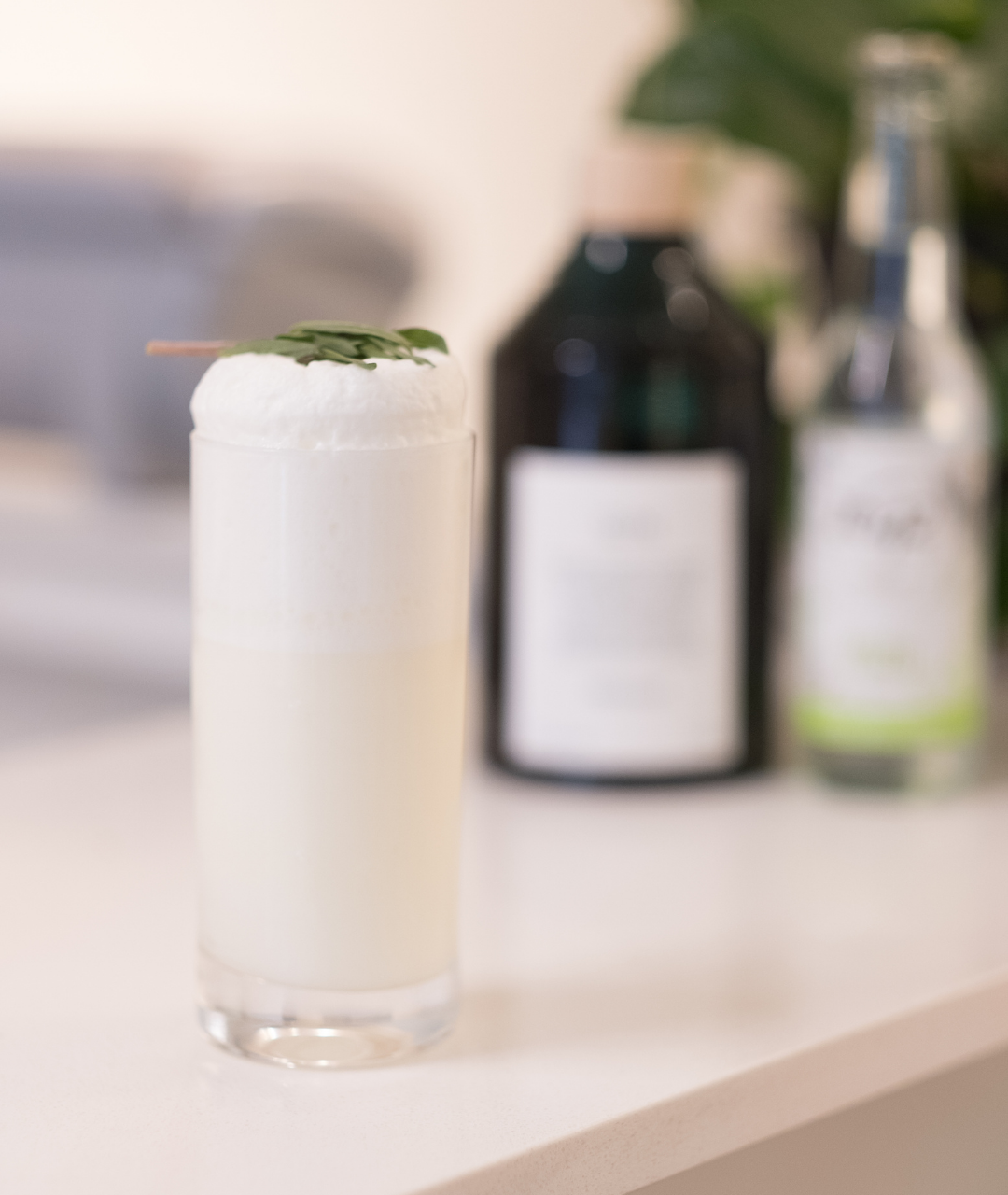 Fizzy Breezy | Cocktail 1642 - 1642 Tonics and Mixers